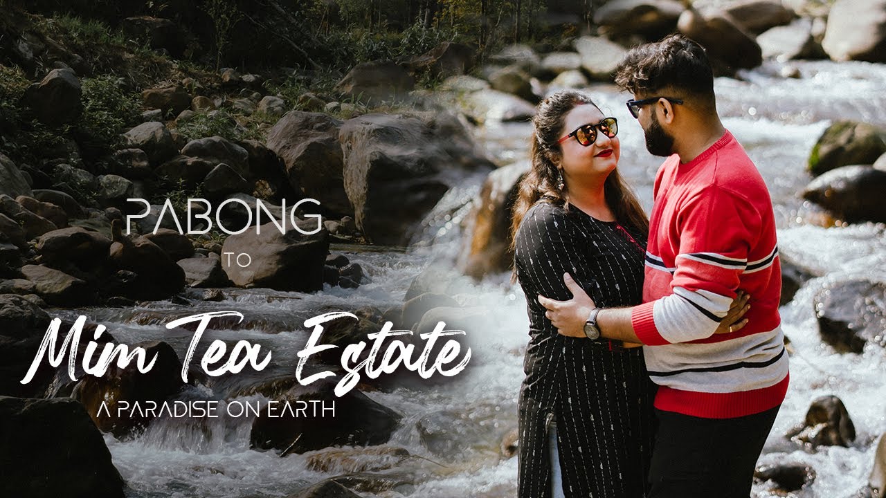 II Pabong to Mim Tea Estate II Darjeeling & Offbeat EP- 2 II North ...