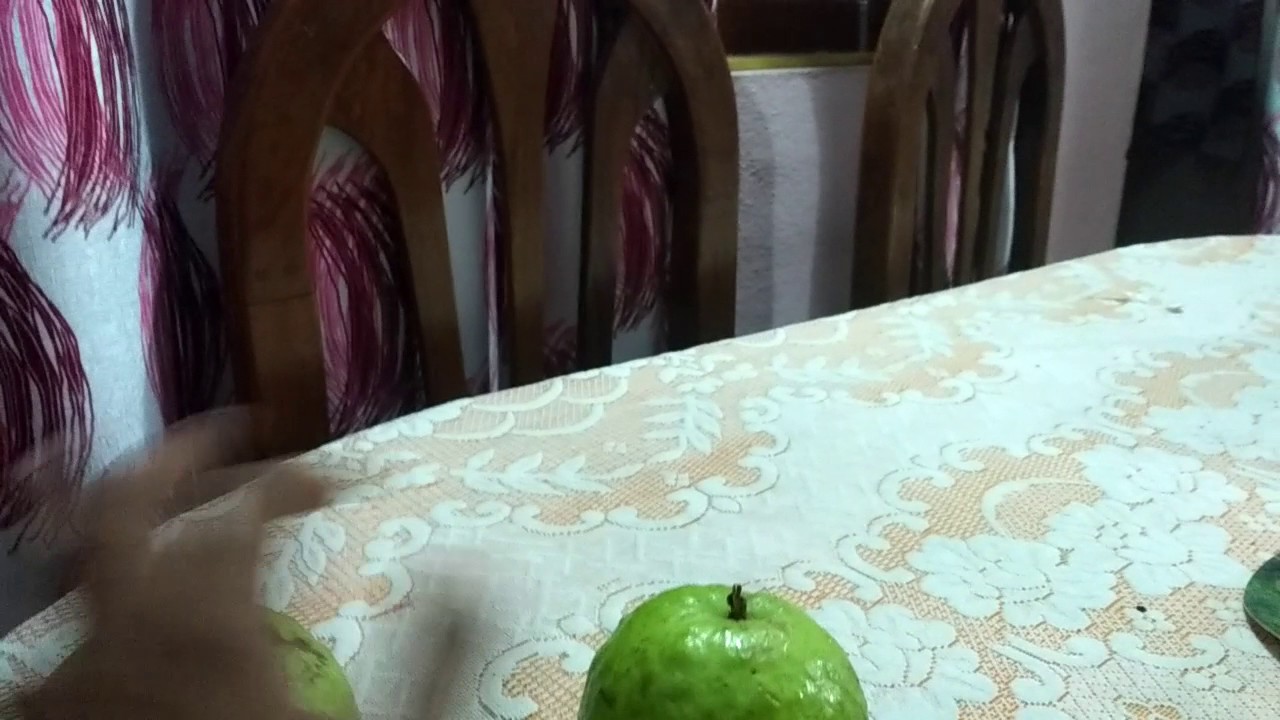 World biggest guava - YouTube