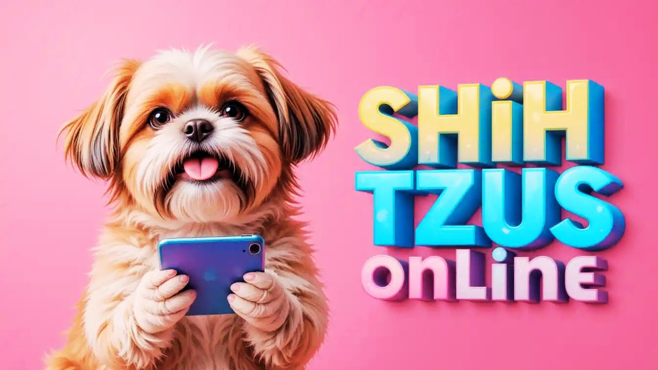 What do the funniest and most famous Shih Tzus in the world do on ...