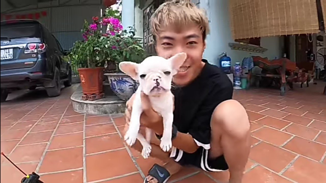 Dương kc và các thú nuôi của Dương kc Tập 2 - YouTube