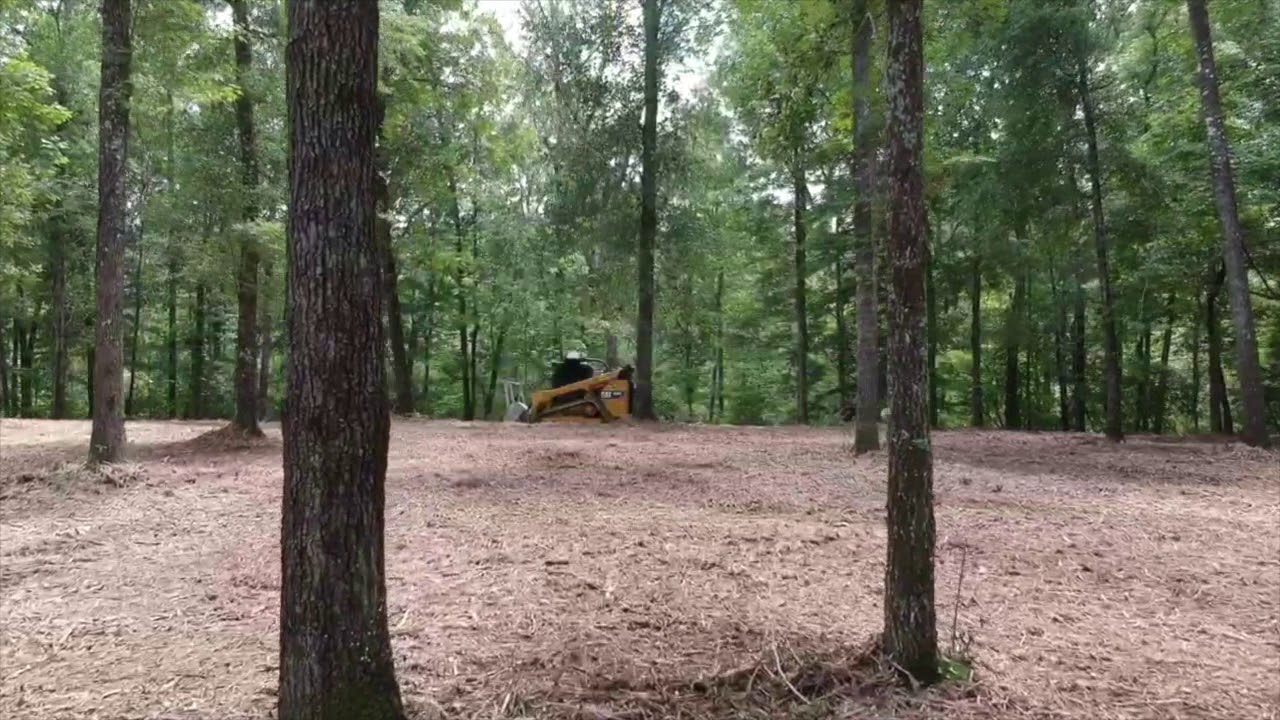 South Carolina Forestry Mulching - YouTube