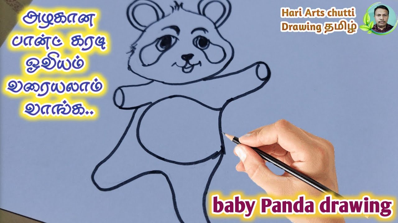 panda |cute baby panda| simple draw to panda easily|how to draw panda ...