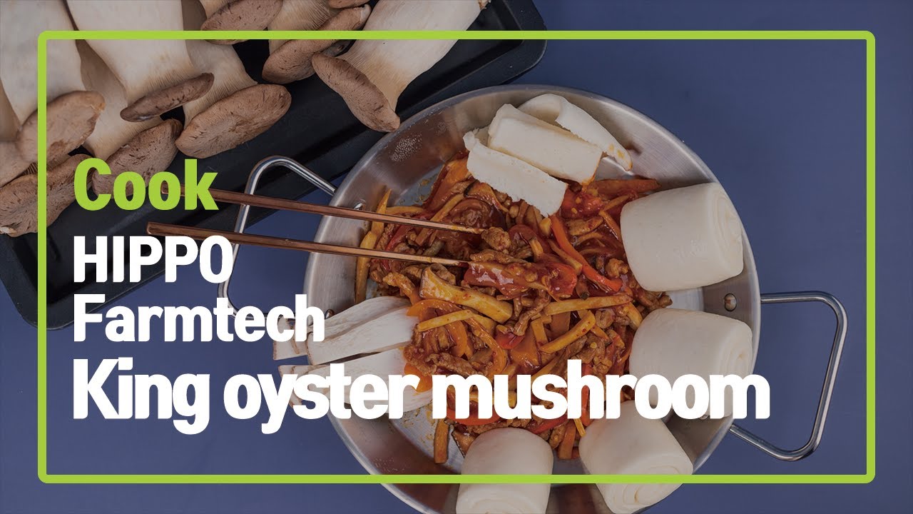 King oyster mushroom Gochu Japchae Farmtech Cook | HIPPO Farmtech - YouTube