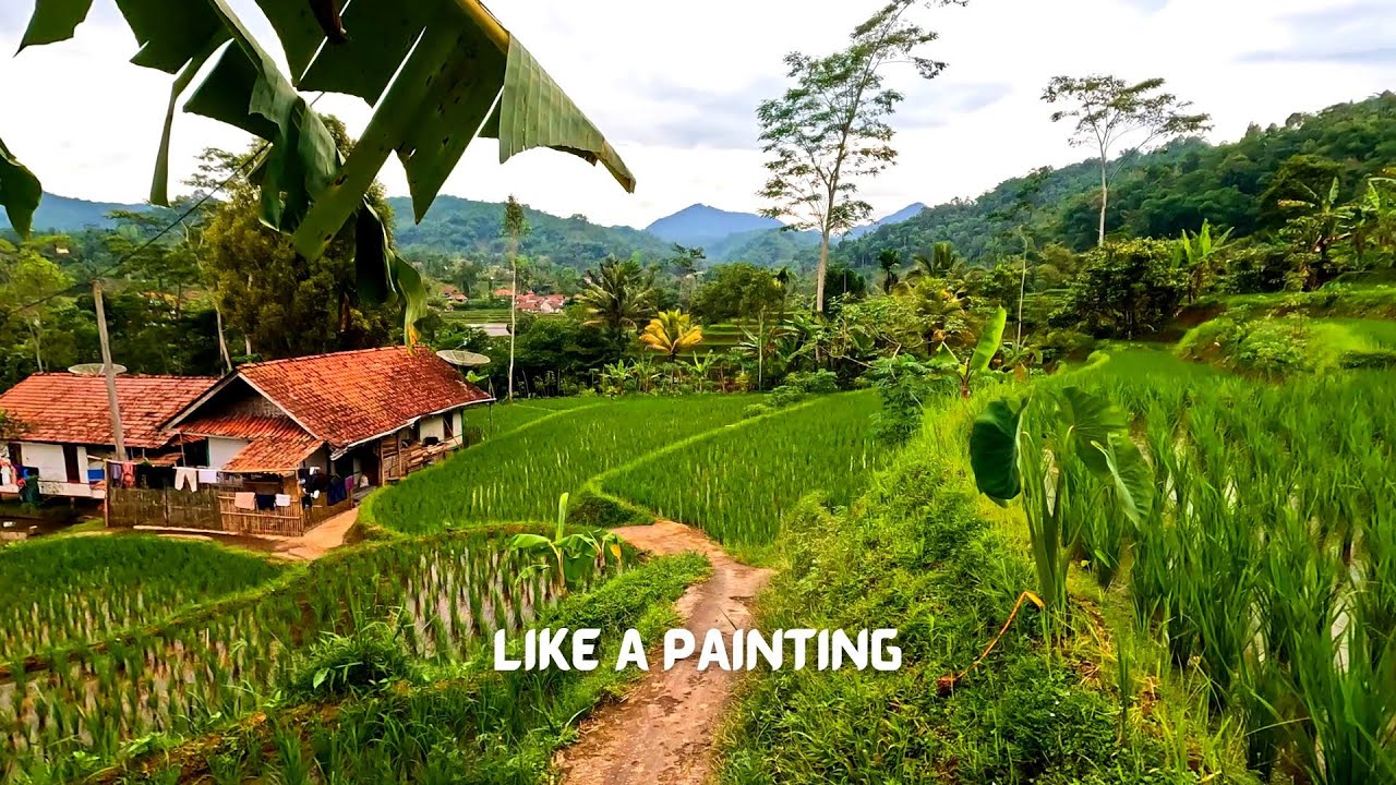 The atmosphere of gotong royong is very strong in the countryside | 4K ...