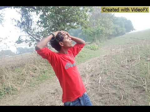 Director Chhotu Chhaliya kalakar Deshraj Bihari - YouTube