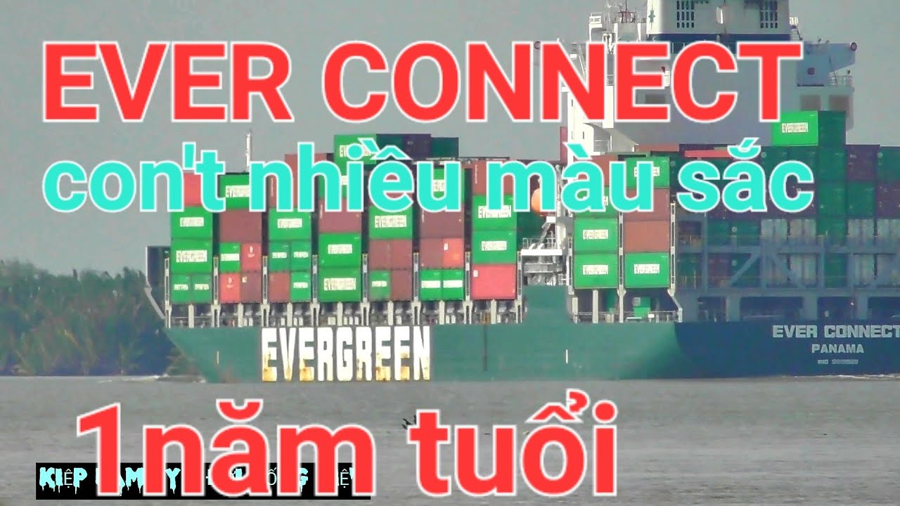 #362 Tàu Ever connect(imo9919589)một năm tuổi chở đầy container rời ...