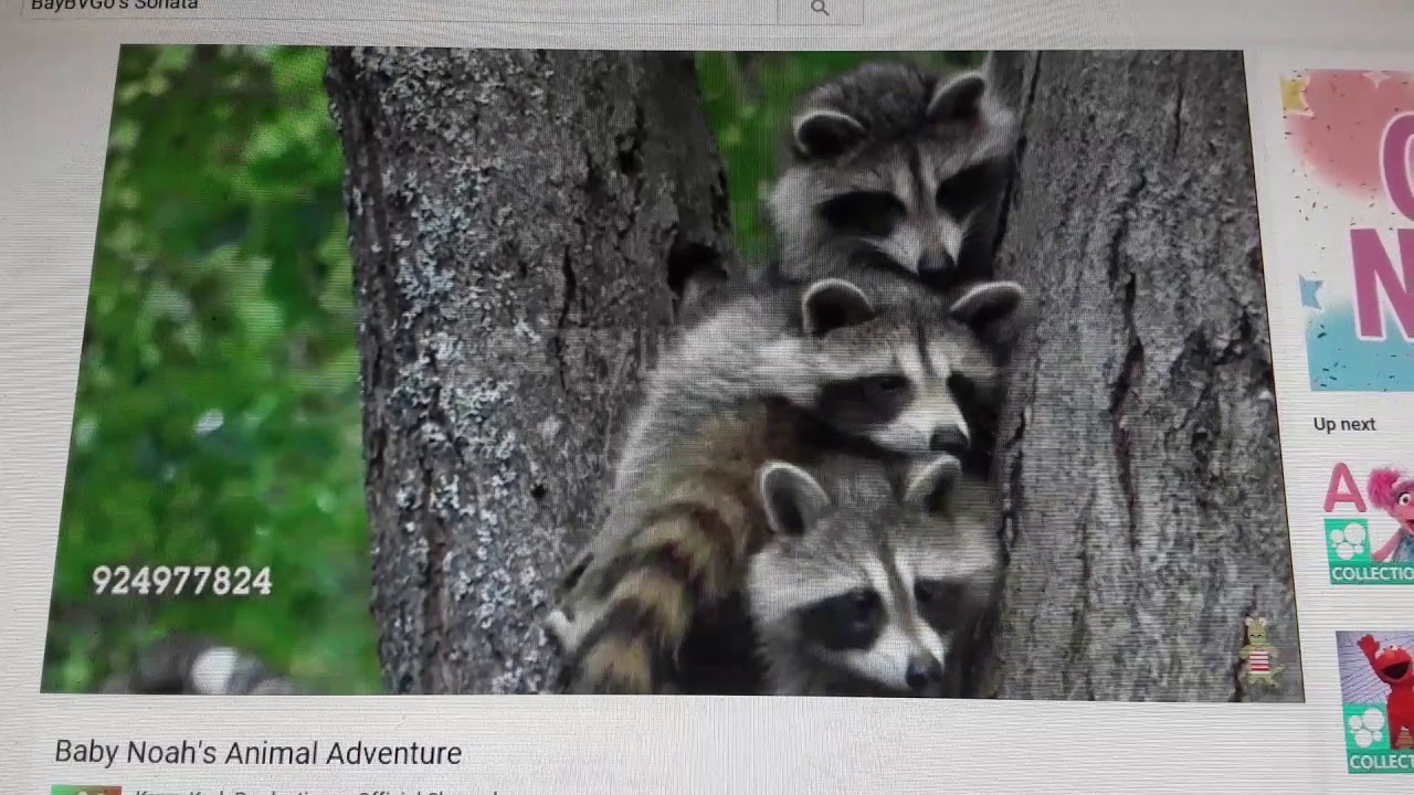 Baby Noah's Animal Adventure - In the Forest - YouTube