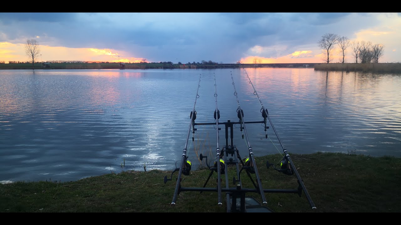 Balta Teiu 18-21 martie 2021 - YouTube