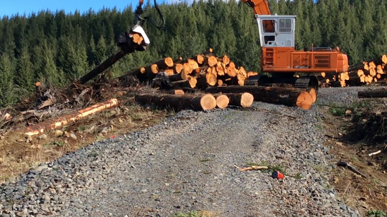 Logging with a view part 2 - YouTube