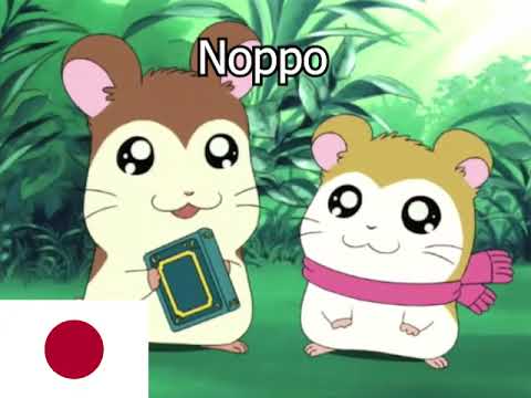 Hamtaro Japanese & English Dub Comparison