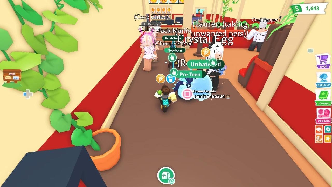 Roblox Adopt Me Chompy and Pets Walking Town Village - YouTube