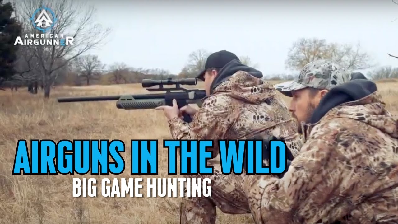 Airguns in the Wild: Hunting BIG GAME with American Airgunner - YouTube