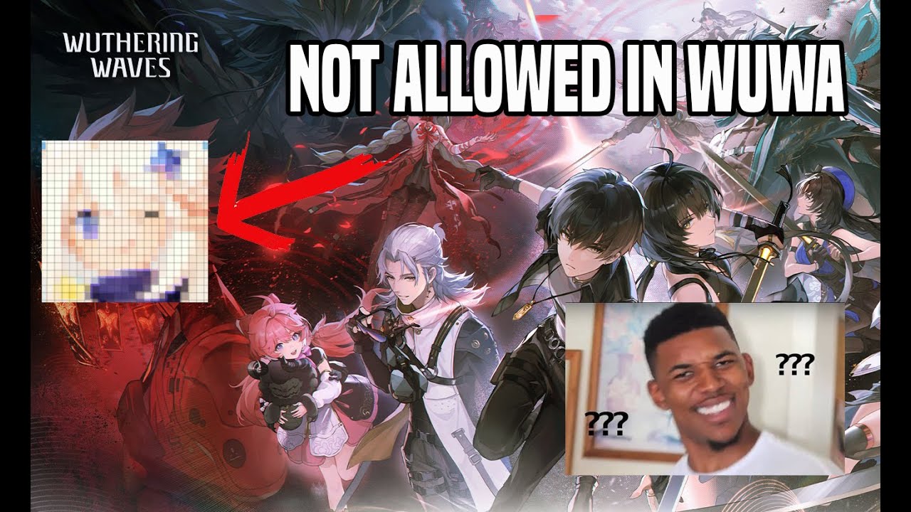 WHY G-WORD NOT ALLOWED IN WUTHERING WAVES /MEME - YouTube