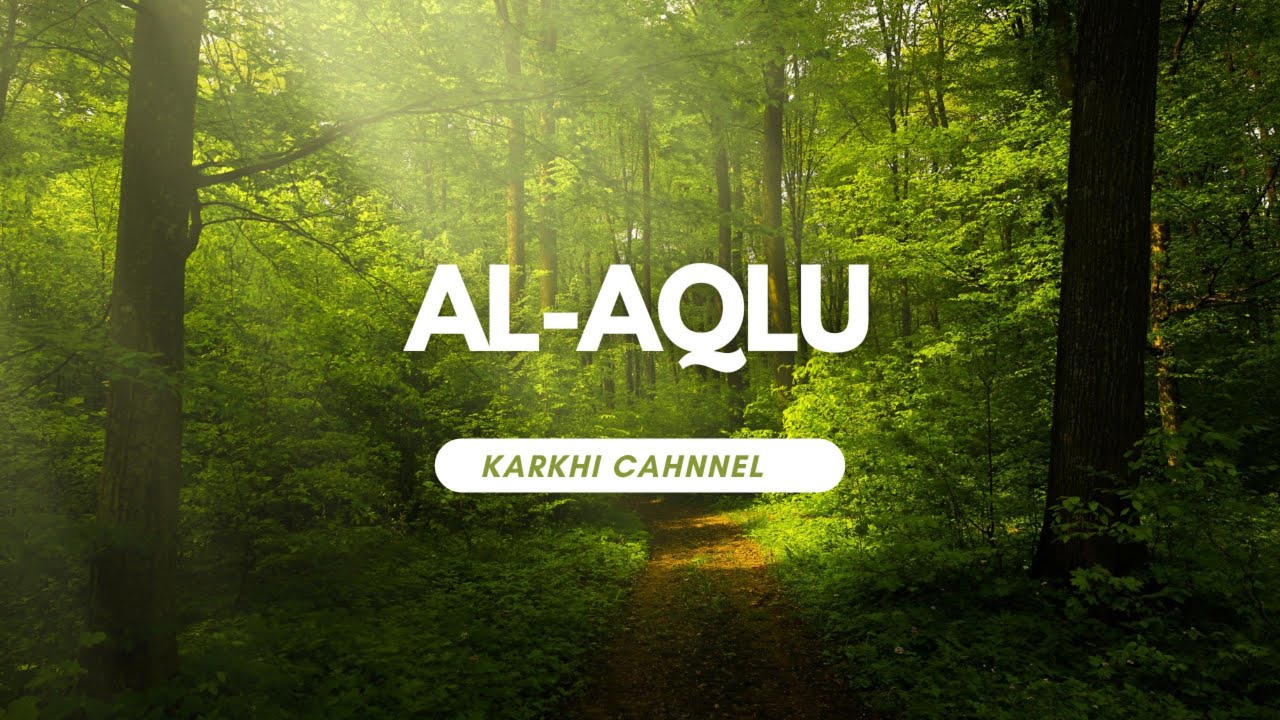 Al Aqlu #solawat #hijrah #liriksolawat - YouTube