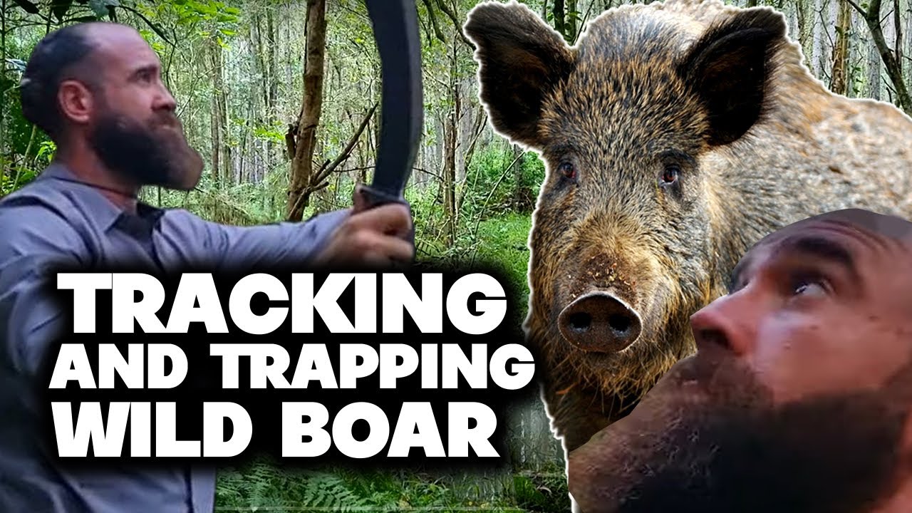 Bushcraft Skills: Tracking and Trapping Wild Boar in the Australian ...