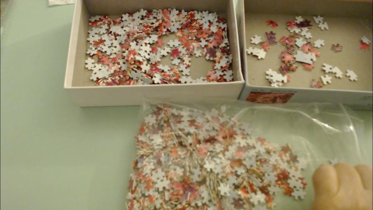 ASMR Sorting Puzzle Pieces & Whispering - YouTube