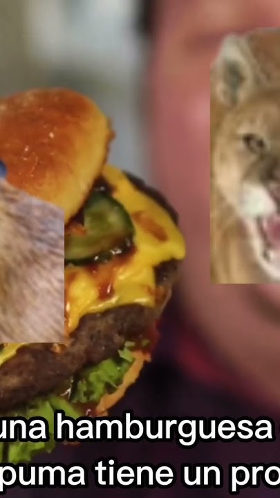 el capibara con botas #capybara #capibara #humor #sabiasque #xd #cat # ...