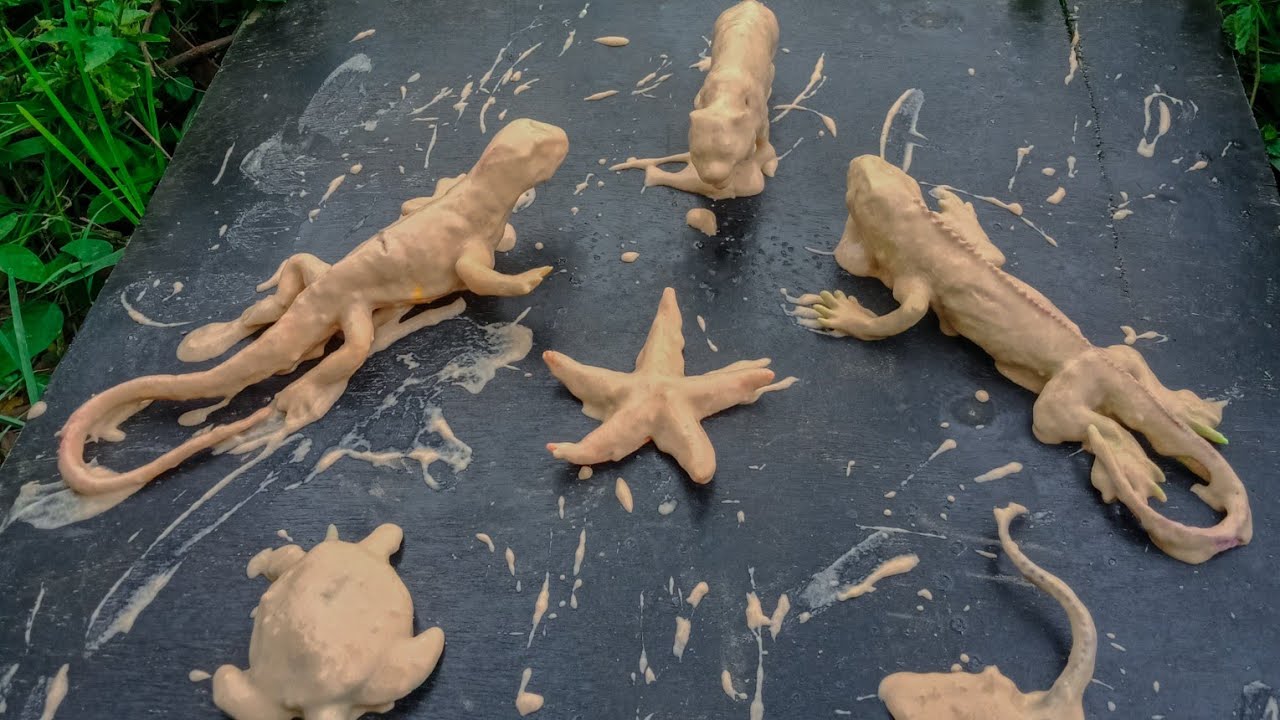 membersihkan mainan Kadal, harimau , bintang laut, iguana, penyu , ikan ...