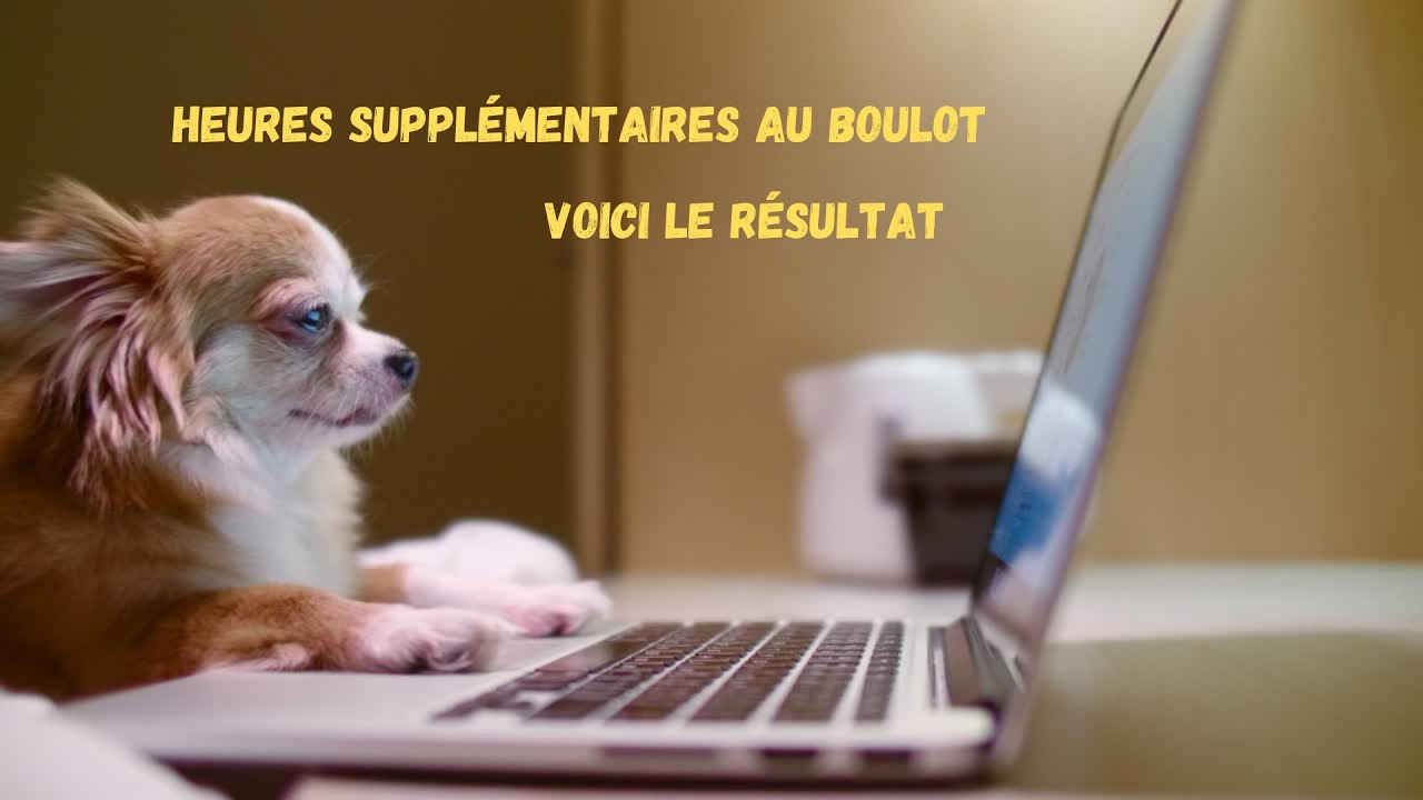 Humour - Animaux - Heures supplémentaires au boulot - YouTube