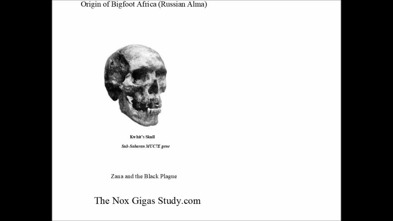 Zana New DNA "The Origin of Bigfoot" - YouTube