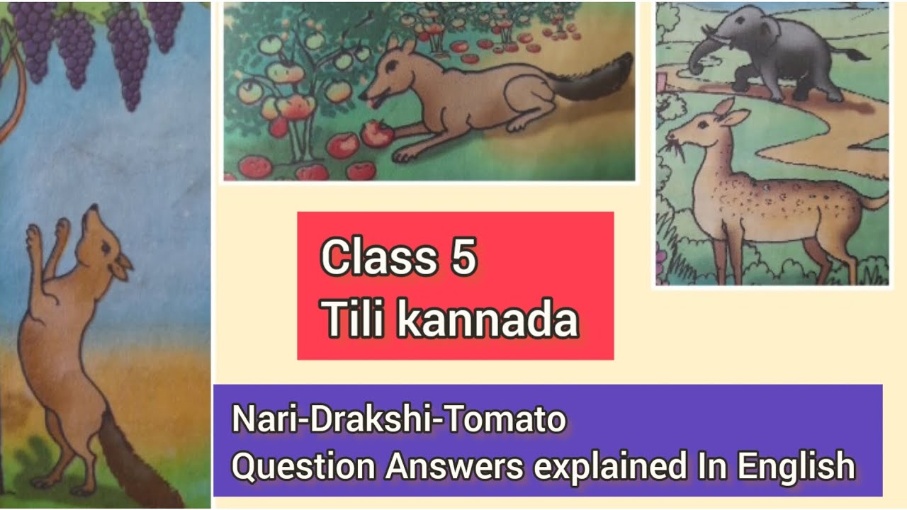 Class 5 Nari-Drakshi-Tomato Question answers discussed in English - YouTube