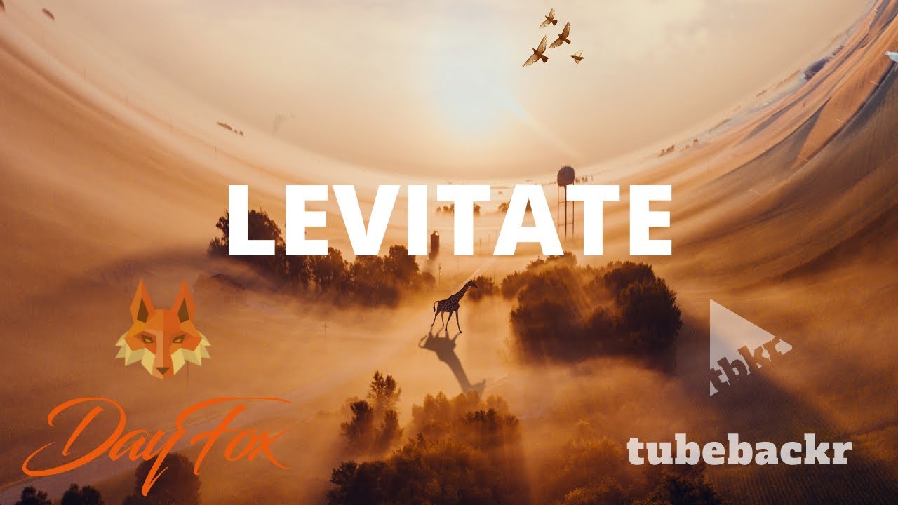 tubebackr & Dayfox - LEVITATE - YouTube