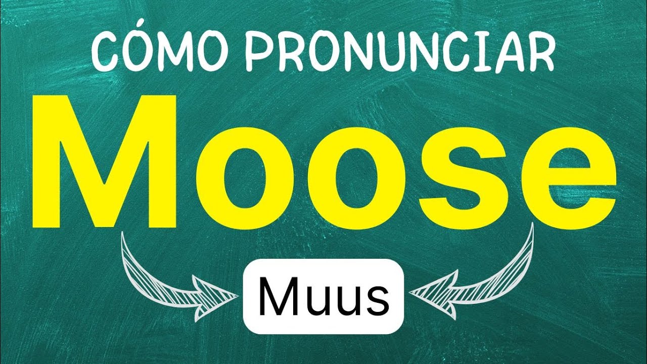 Cómo pronunciar: Moose "alce" "mamífero" "animal salvaje" en inglés ...