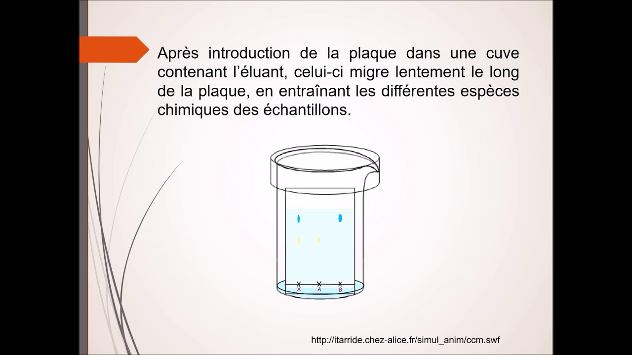 Chromatographie sur couche mince (CCM) - YouTube