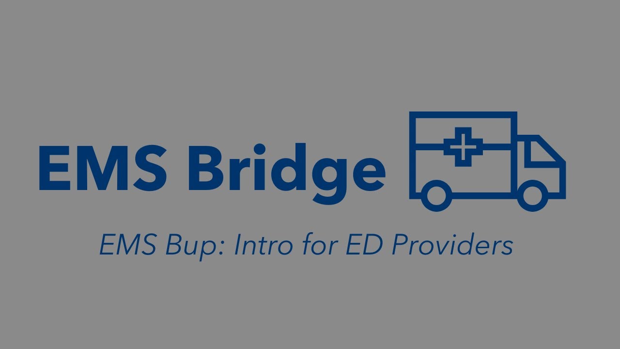 On Demand - Bridge to Treatment