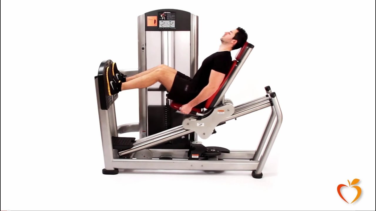 Myvitale || Prensa piernas - YouTube