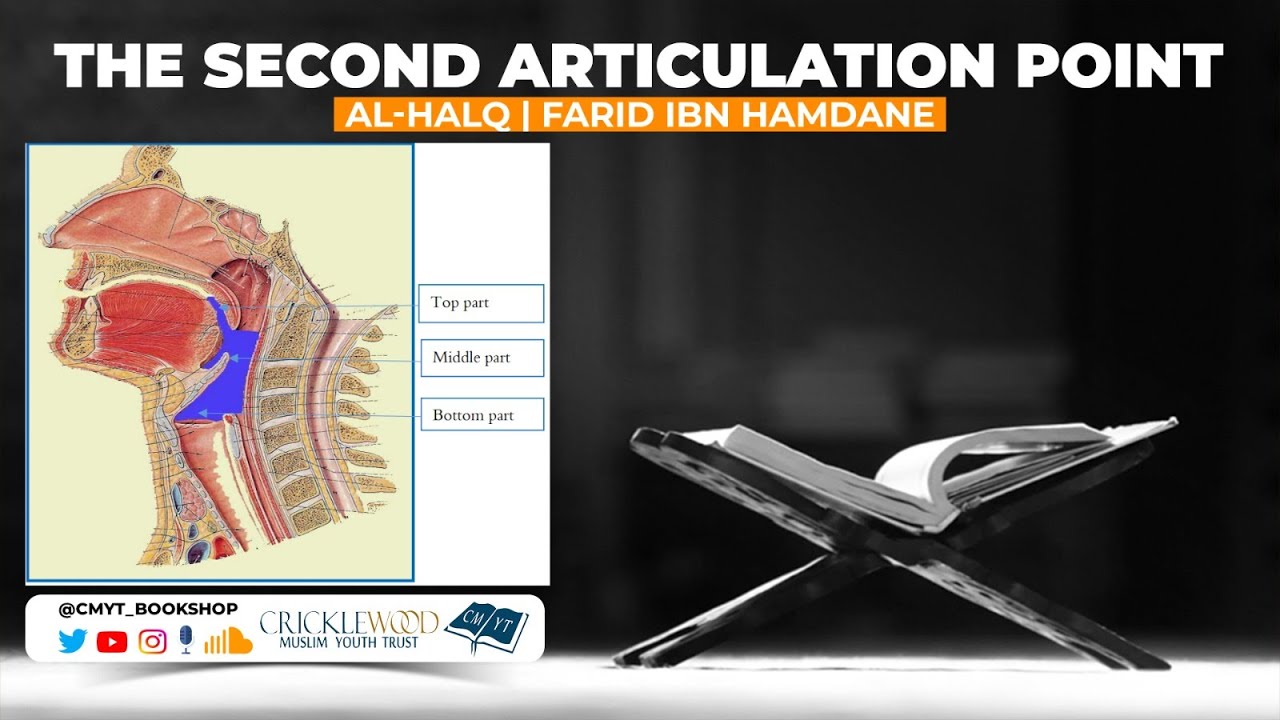 The Second Articulation Point (Al-Halq) | Simplifying Tajweed 20 ...