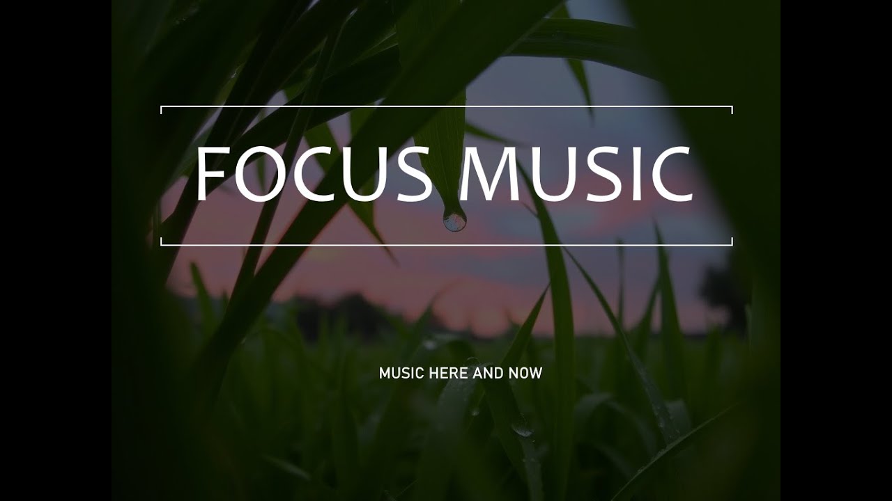 Focus Music for Study, Work, Meditation [FM-019] - YouTube