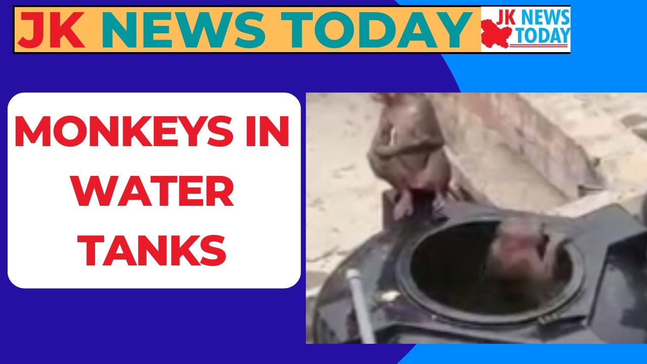 Monkeys in water tanks | JK News Today - YouTube