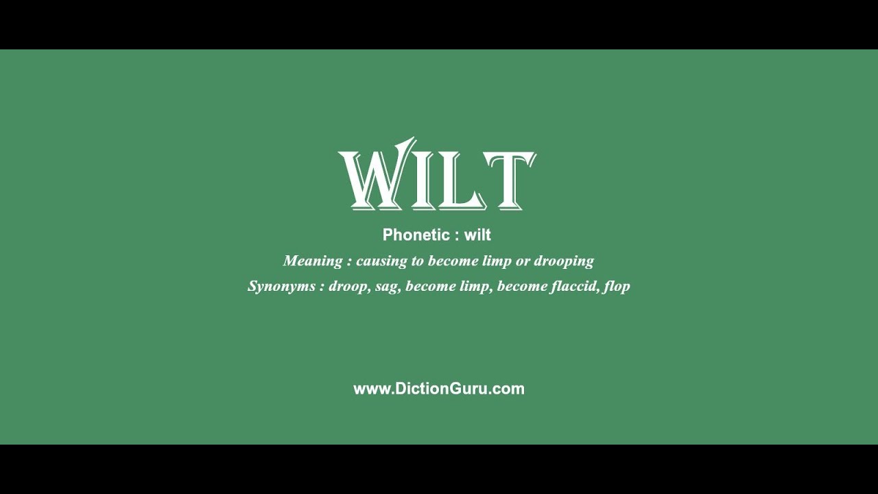 wilt: How to pronounce wilt with Phonetic and Examples - YouTube
