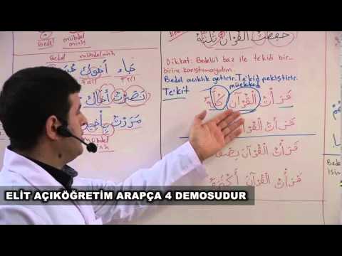 Elit Arapça-4 Görüntülü Eğitim Seti