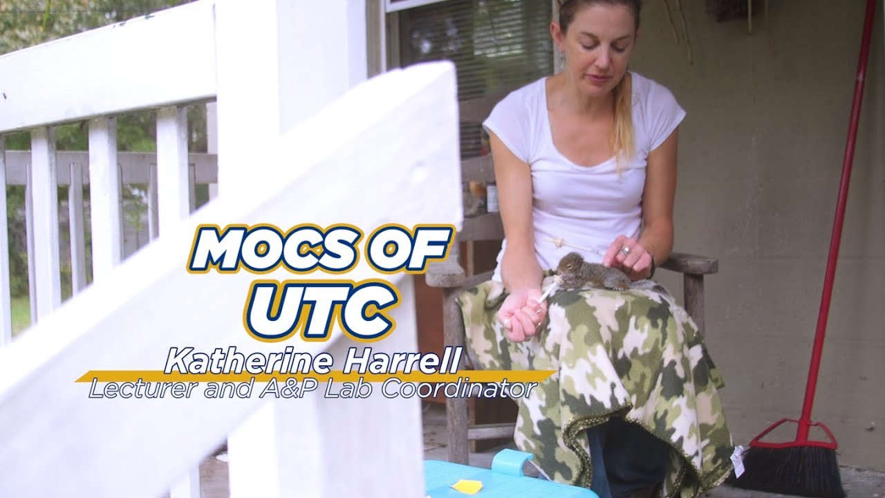 Mocs of UTC: Katherine Harrell - YouTube