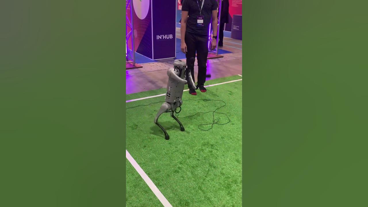 4 legged robot trained to balance with 2 legs by artificial intelligence. First run. Team ...