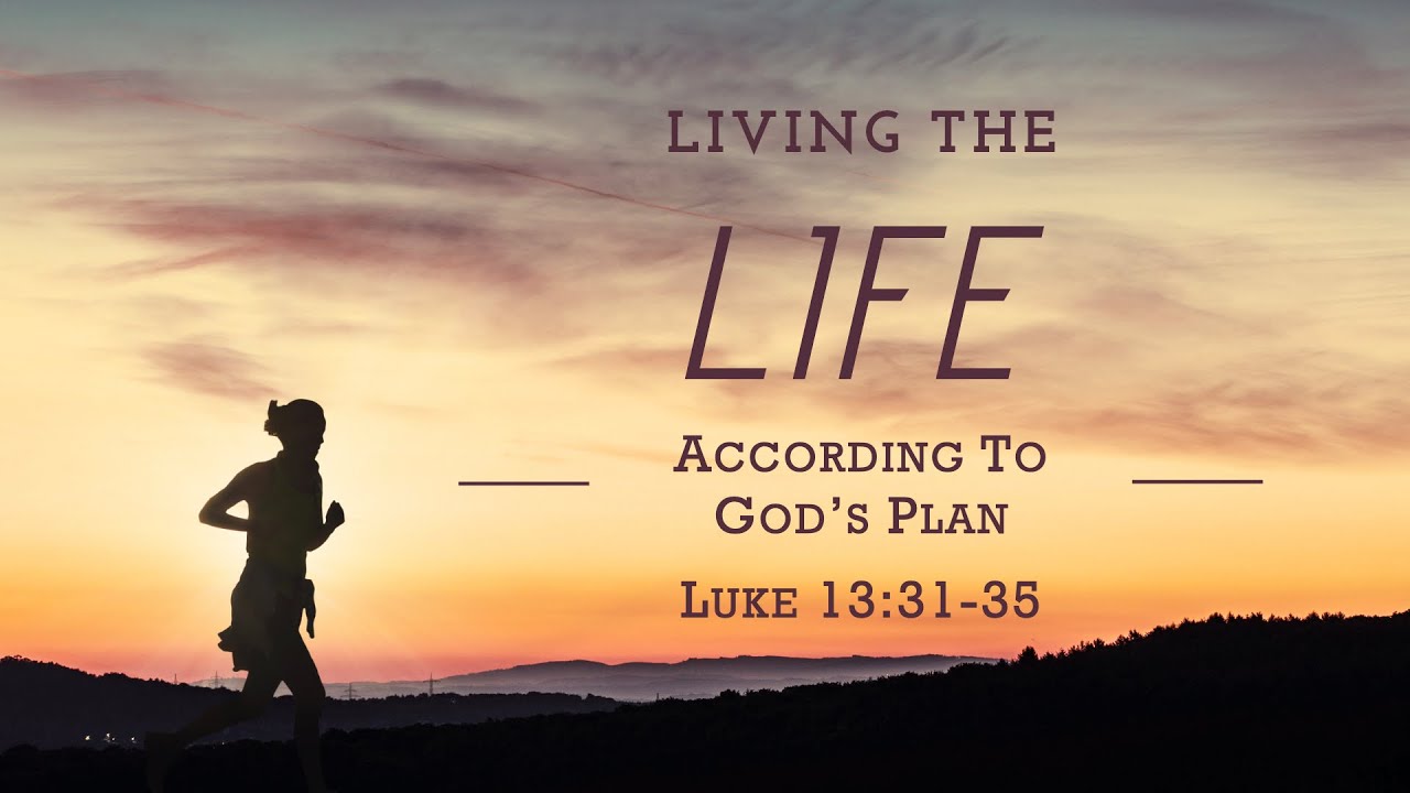 2/25/24 | Living the Life: According to God's Plan | Luke 13:31-35 ...