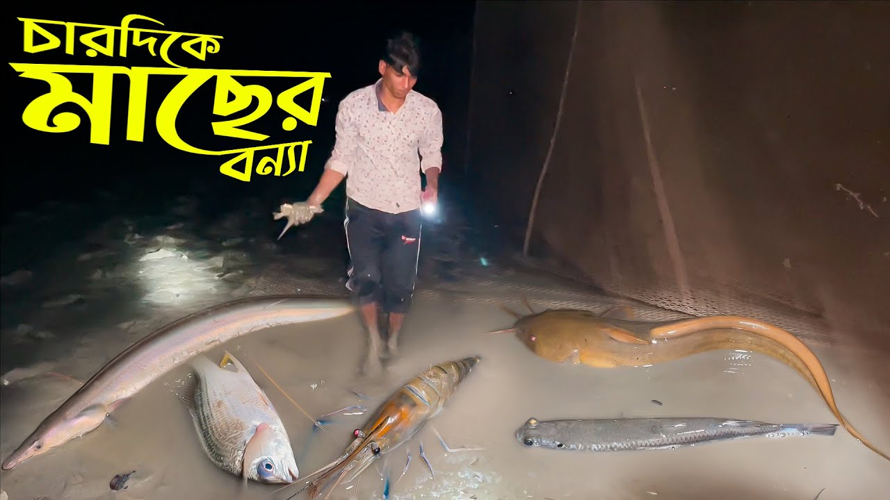 অনেক দিন পর মানুষ খেকো মাছের দেখা চরপাটা জালে | Sundarbans FIshing ...