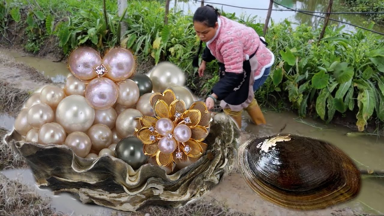 Beautiful exploration captures mutated river clams with rare pearl ...