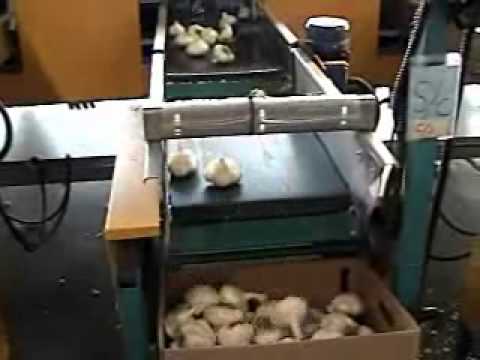 Eshet Eilon Semi Automatic filler Machine.wmv - YouTube