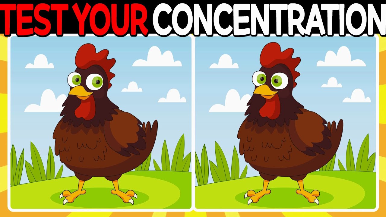 🌈 TEST YOUR CONENTRATION| Concentration Test to Keep Your Brain Healthy ...