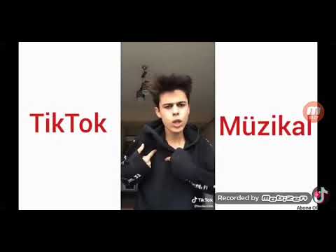 Berkenizm delinizm tiktok