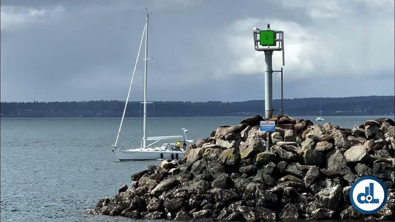 Renew Boat Registration By June 30 YouTube renew-boat-registration-by-june-30-youtube