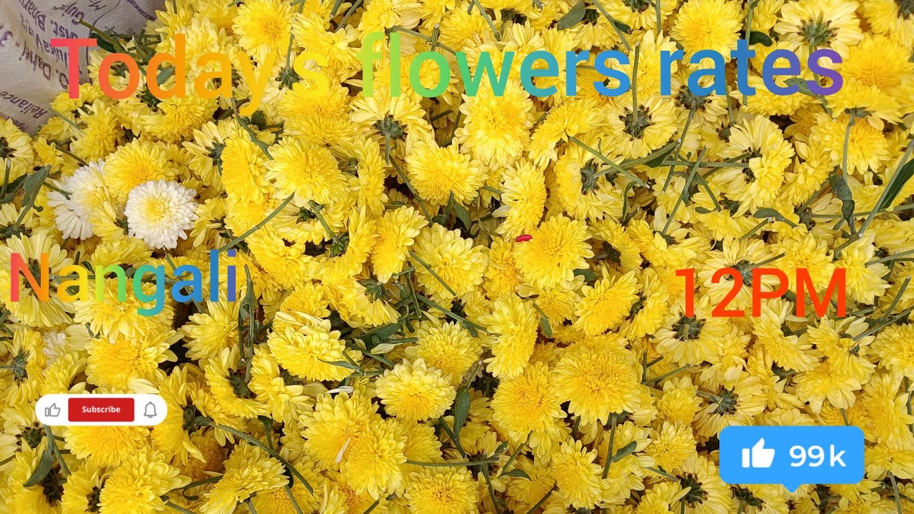 Today's flowers rates at Nangali flower market 17 January 25 - YouTube
