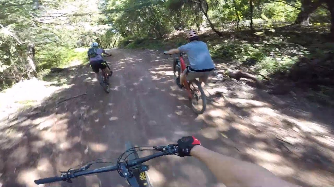 Demo Forest Ridge Trail Flowing - YouTube