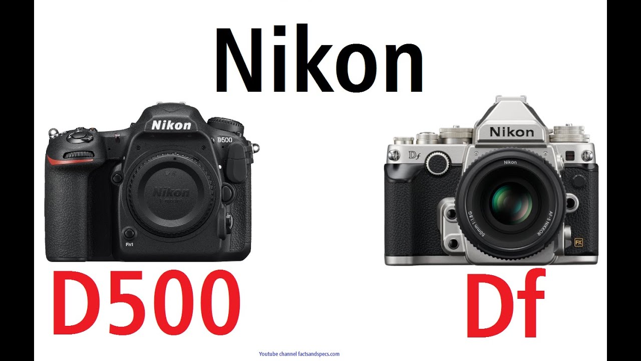Nikon D500 vs Nikon Df - YouTube