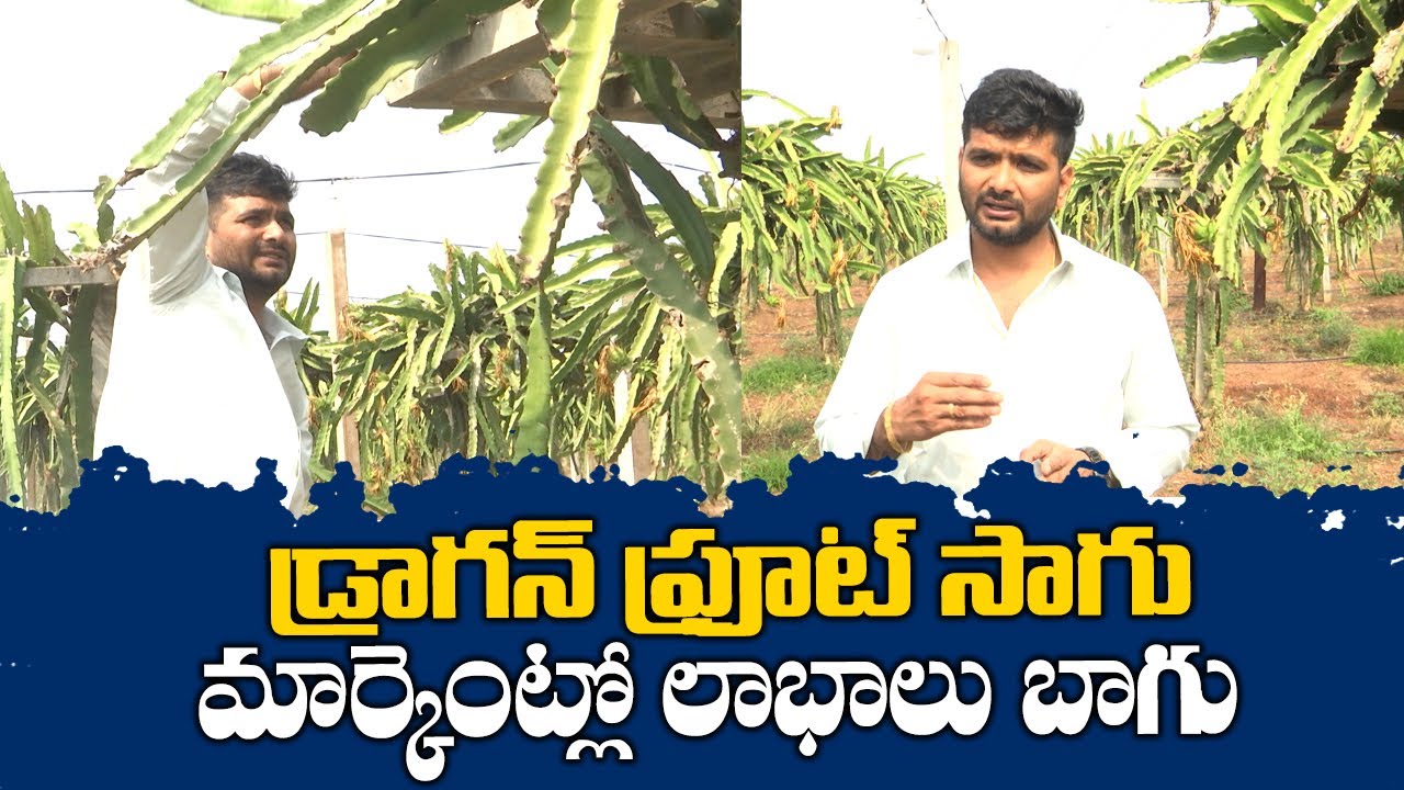Ramesh Reddy from Zaheerabad Received Best Billionaire Award | Dragon ...