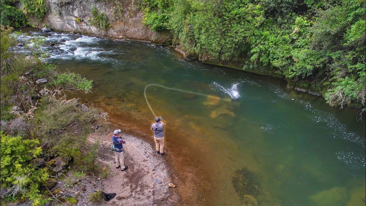 This River is Incredible, Big Fish Everywhere. - YouTube