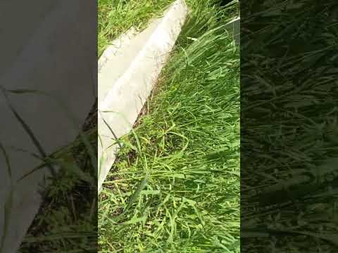 rahmetli annemin mezarı..büyükbakkalköy...